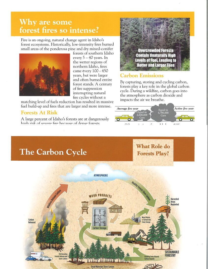 The Carbon Cycle and Why are Some Forest Fires so Intense? · Idaho ...