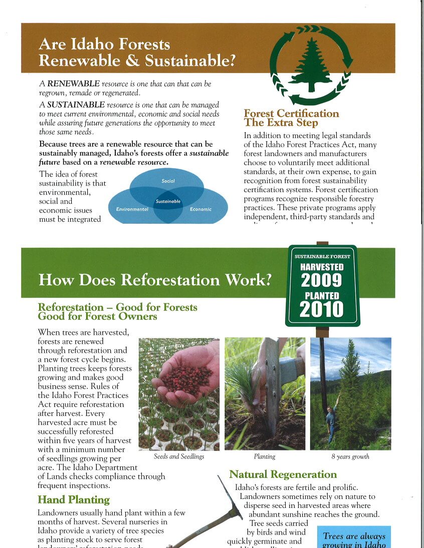 How Does Reforestation Work? and Are Idaho 's Forests Renewable and ...