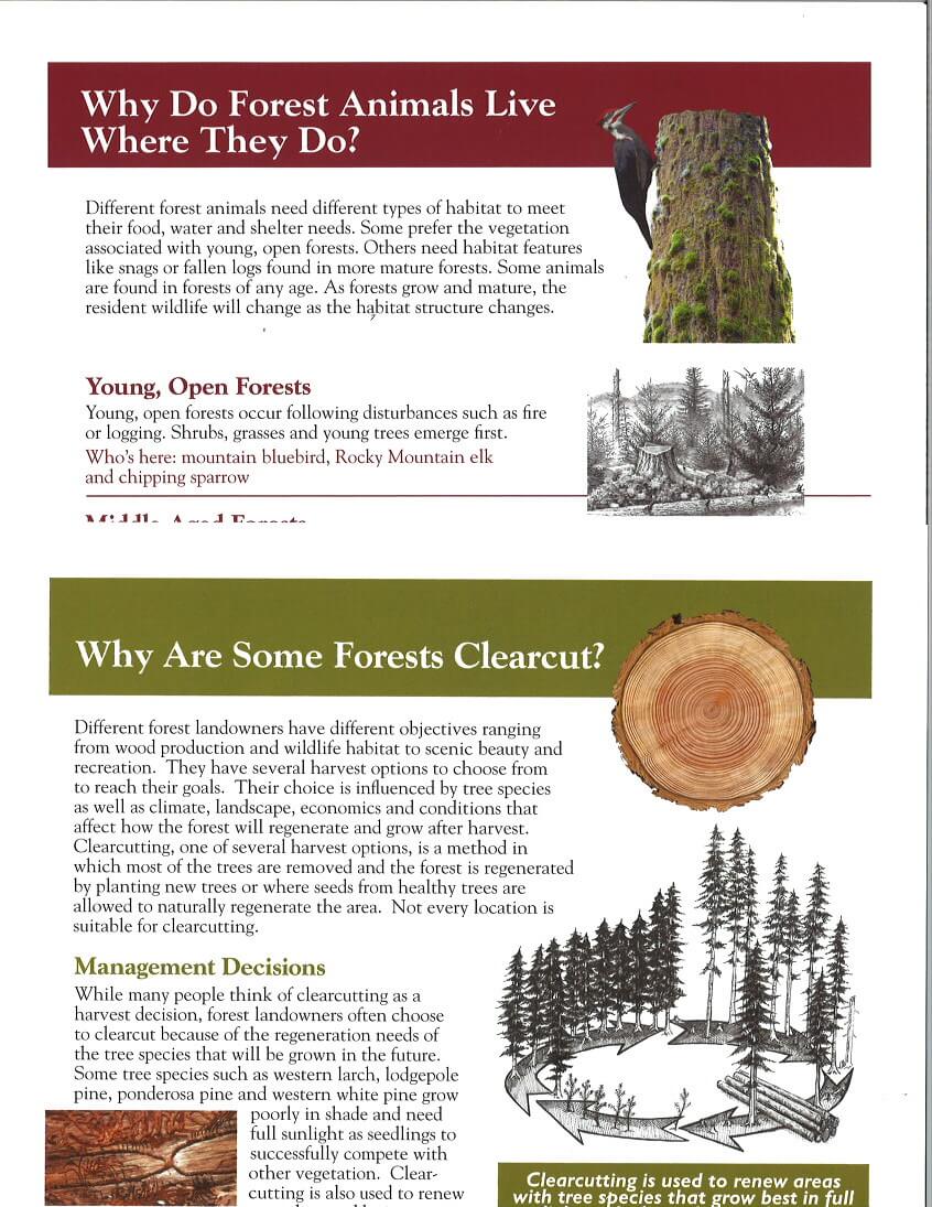 Why Do Forest Animals Live Where They Do? and Why Are Some Forests ...